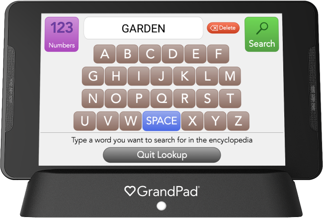 Bring families together with GrandPad