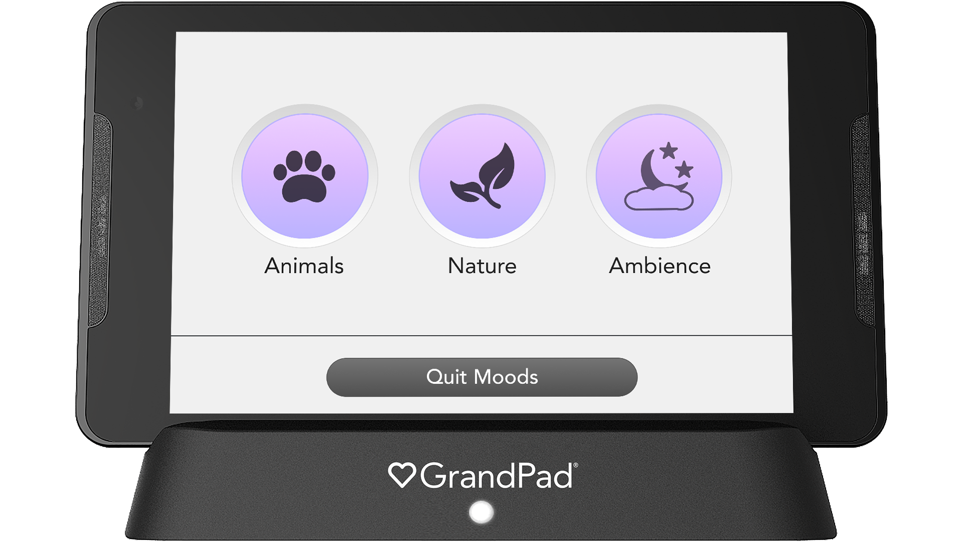 Bring families together with GrandPad